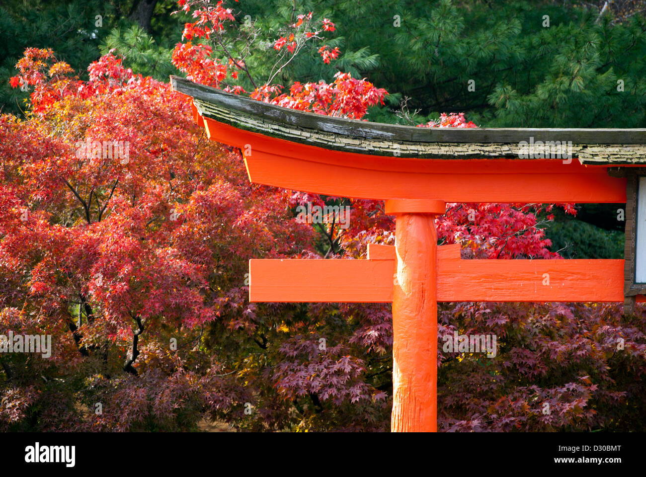 Orange wood Torii in Japanese Garden, Brooklyn Botanic Garden, Brooklyn ...