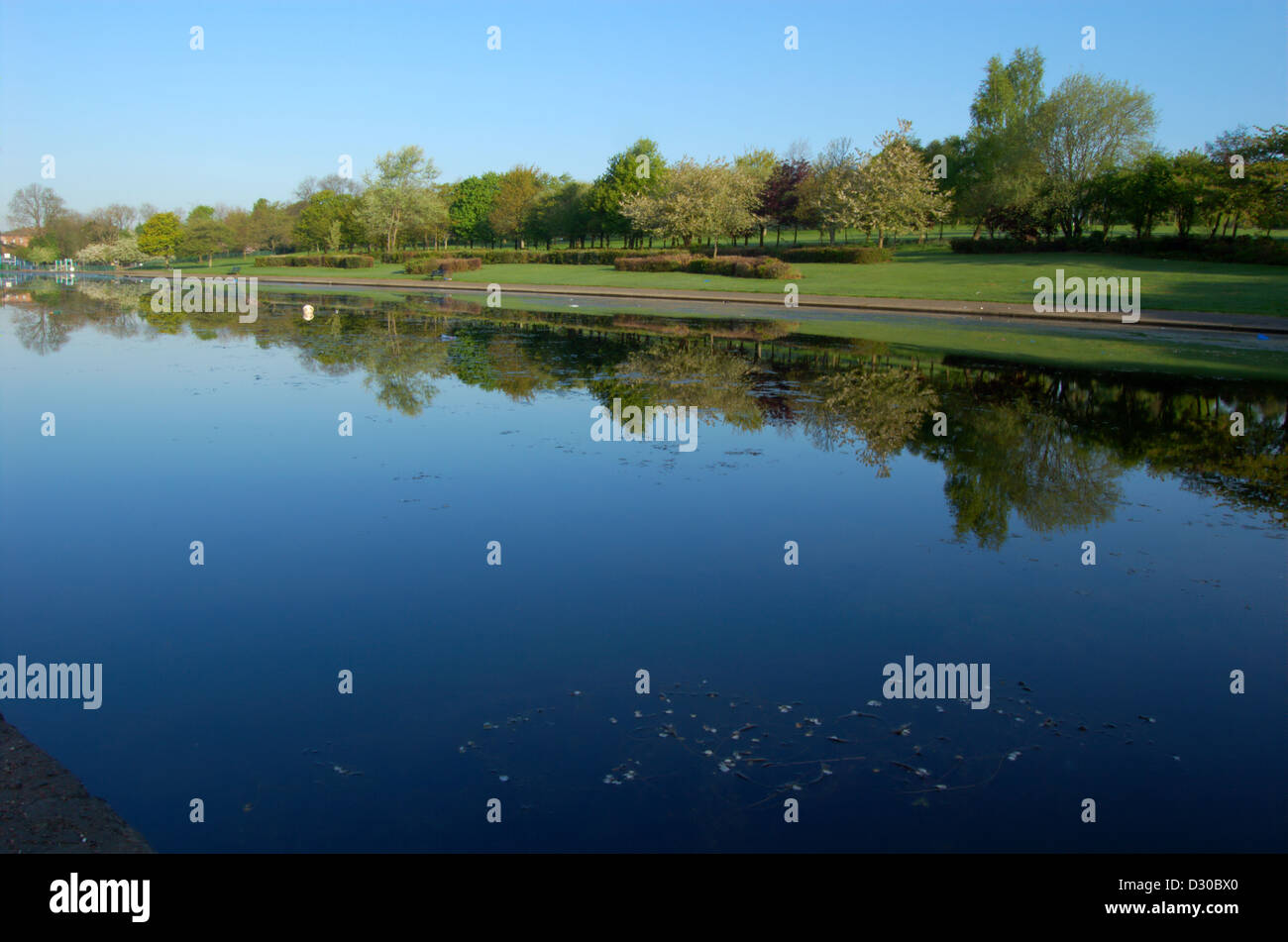 Pond in Alexandra Park in Glasgow, Scotland Stock Photo - Alamy