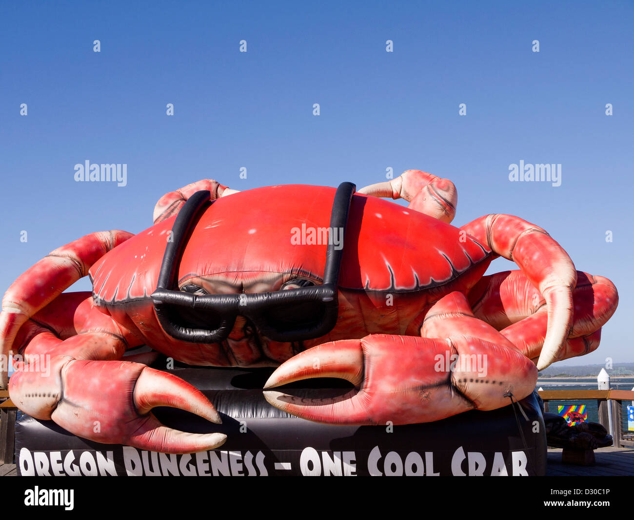 Gigantic inflatable Crab in the coast town of Florence in Northern ...
