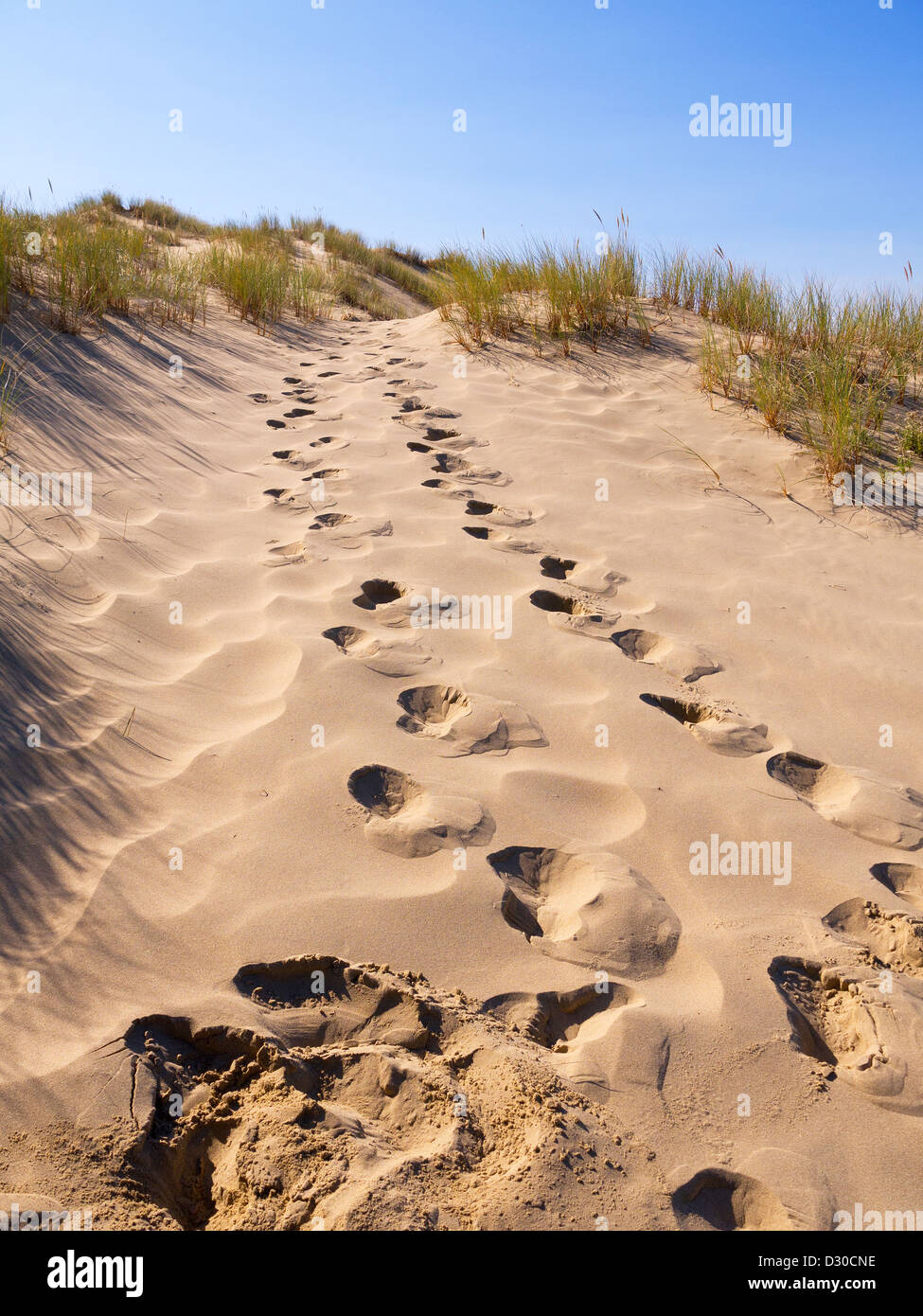 Beach at Three Arch Rocks State Park on the Pacific coast of Oregon USA ...