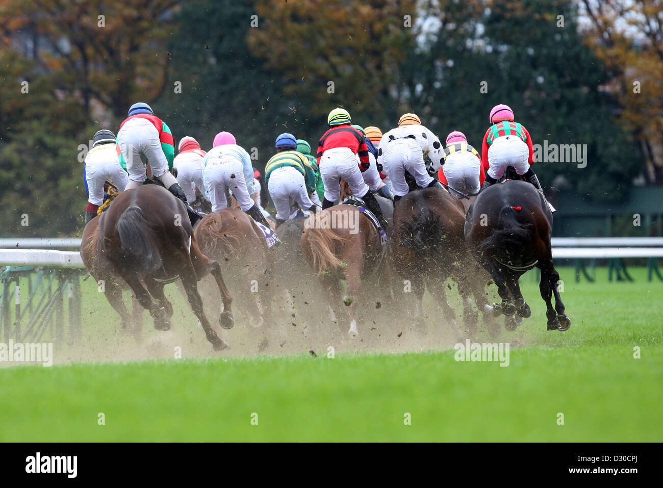 Japanese horse race hi-res stock photography and images - Alamy