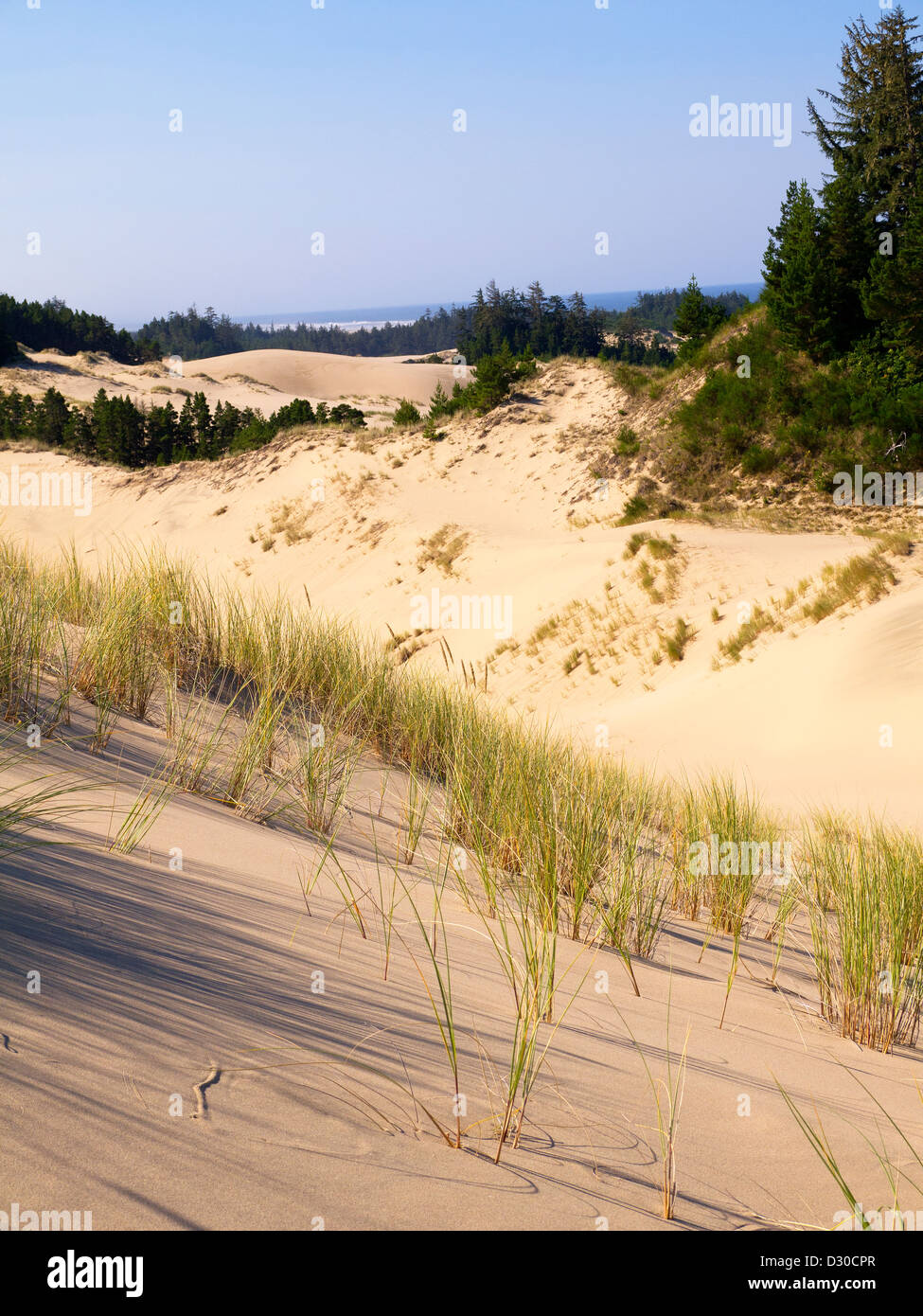 Beach at Three Arch Rocks State Park on the Pacific coast of Oregon USA ...