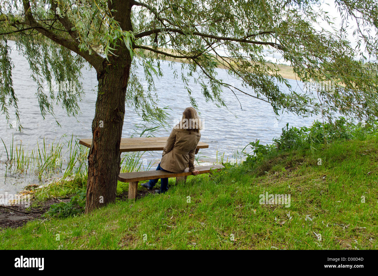 Bench sitting under willow tree hi-res stock photography and images - Alamy