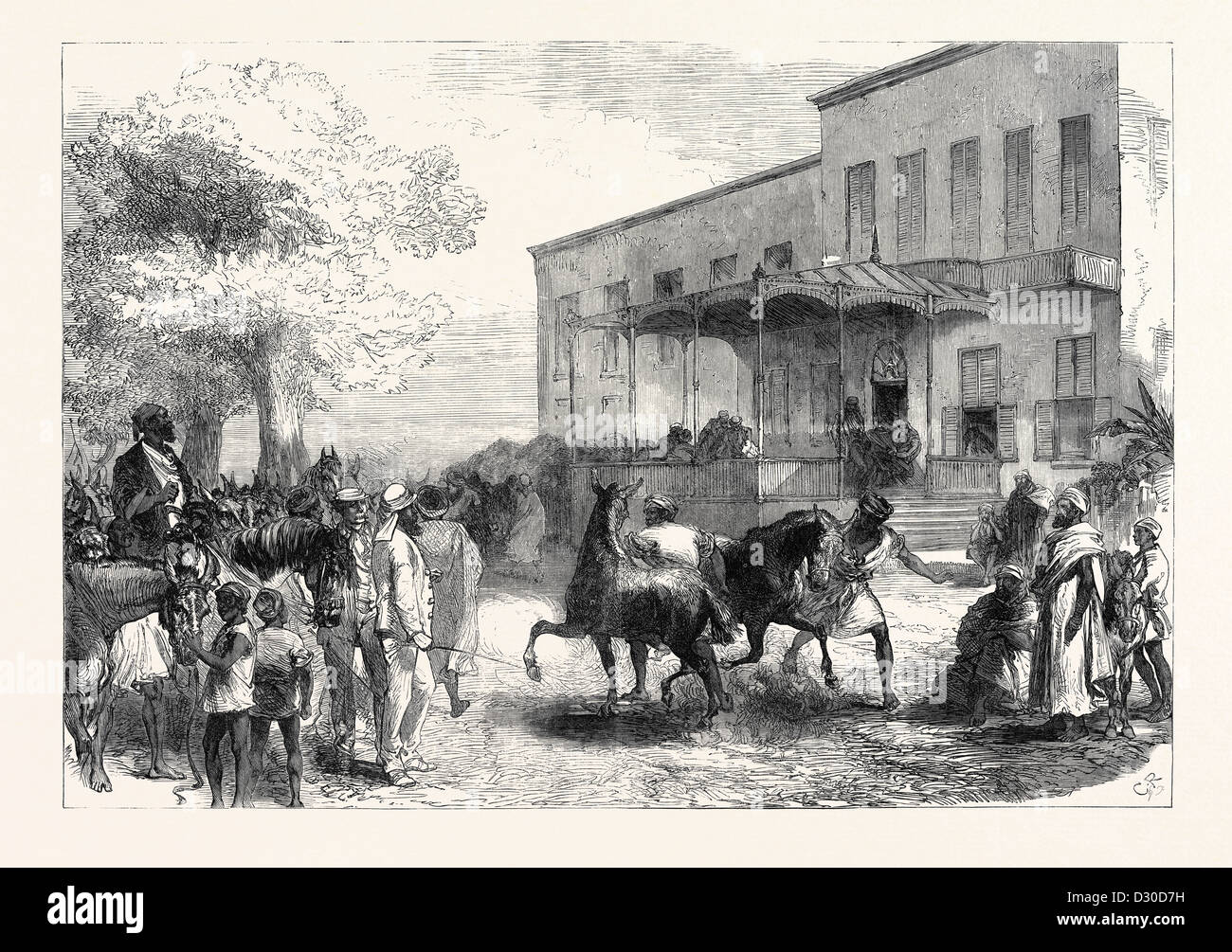 The abyssinian expedition hi-res stock photography and images - Alamy