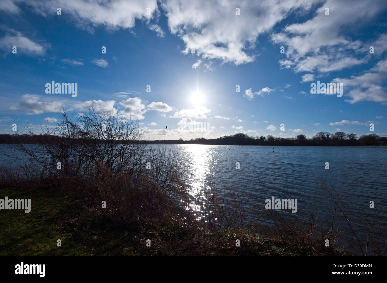 Wroxham broad Norfolk England UK Stock Photo - Alamy