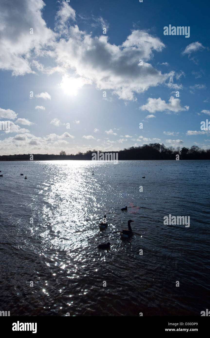 Wroxham broad Norfolk England UK Stock Photo - Alamy
