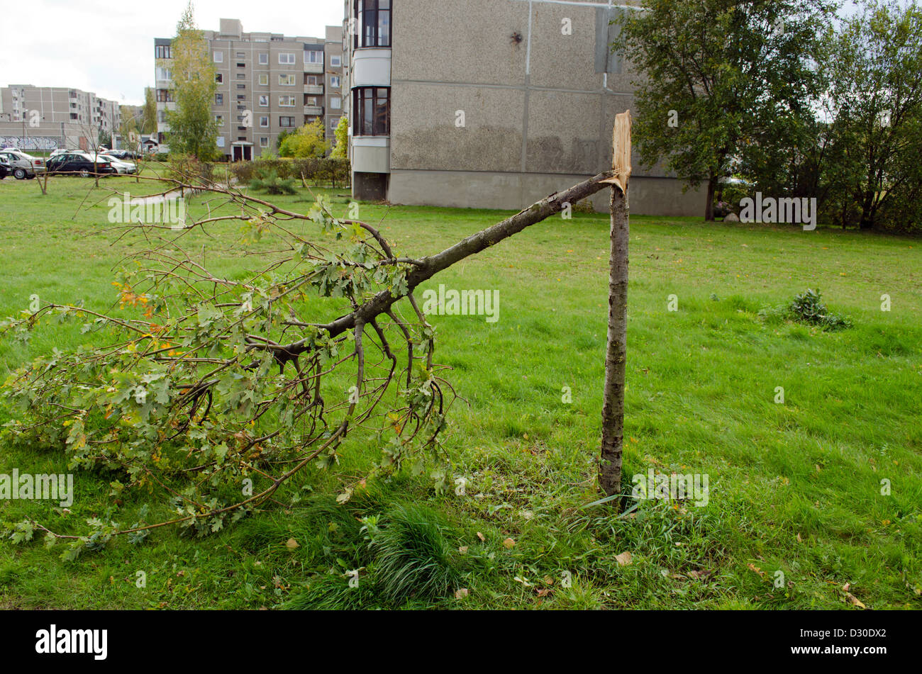 Log block house hi-res stock photography and images - Alamy