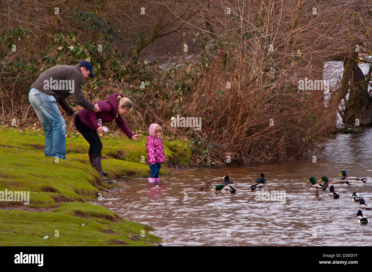 Feeding the ducks hi-res stock photography and images - Alamy