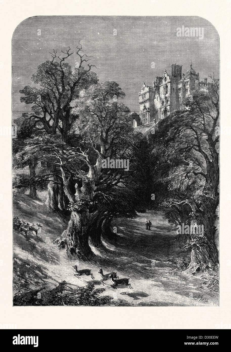 MERLEWOOD CHASE DRAWN BY SAMUEL READ 1867 Stock Photo - Alamy