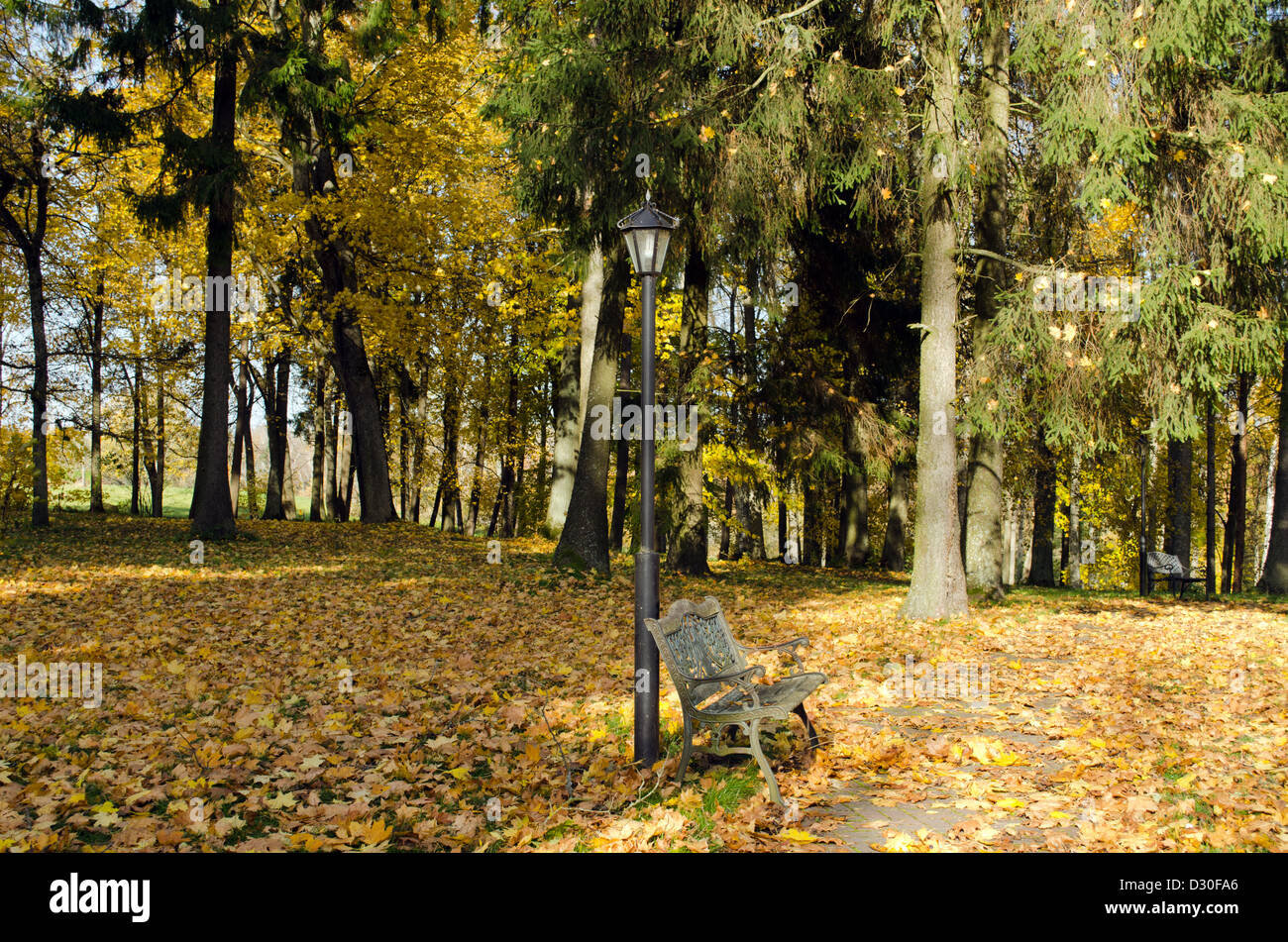 lighting pole and retro steel bench in autumn park covered with ...