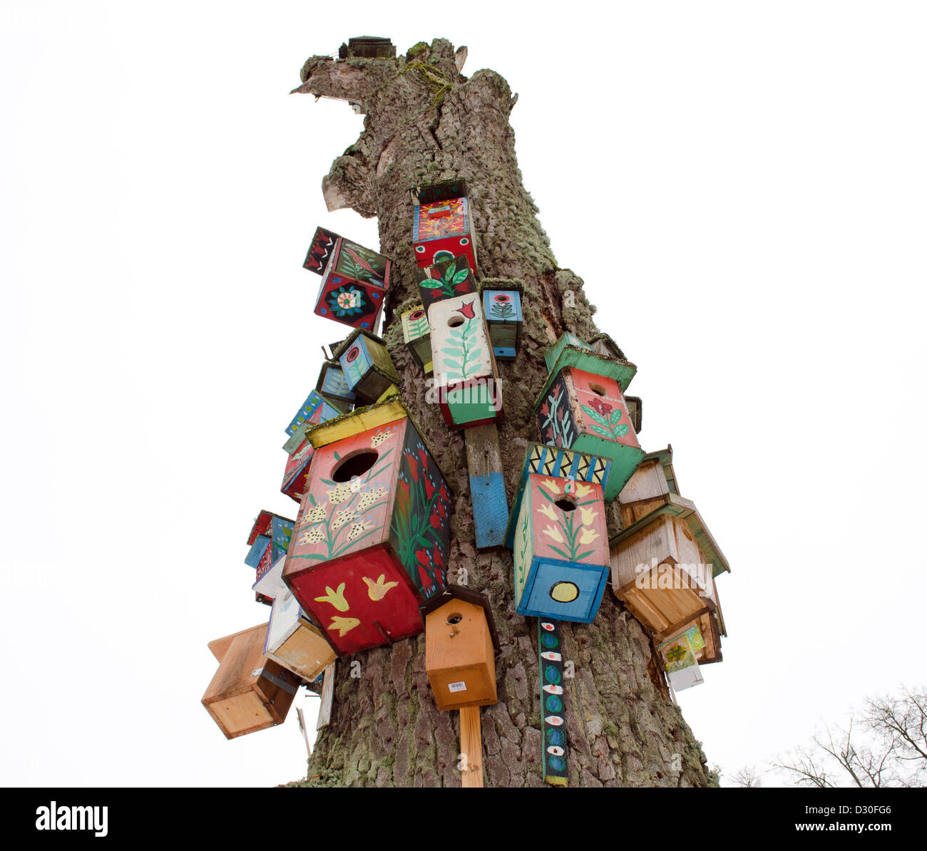 Tree various birds hi-res stock photography and images - Alamy