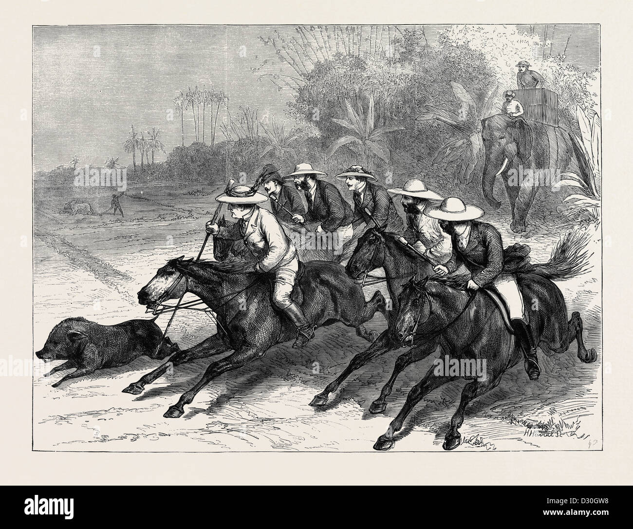 THE LATE LORD MAYO HOG HUNTING AT PANGSA, EASTERN BENGAL Stock Photo ...