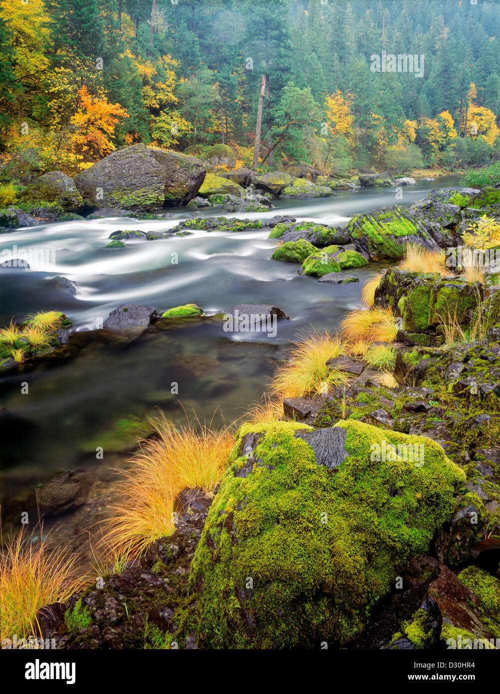 Fall colors along North Fork Umpqua River. Oregon Stock Photo - Alamy