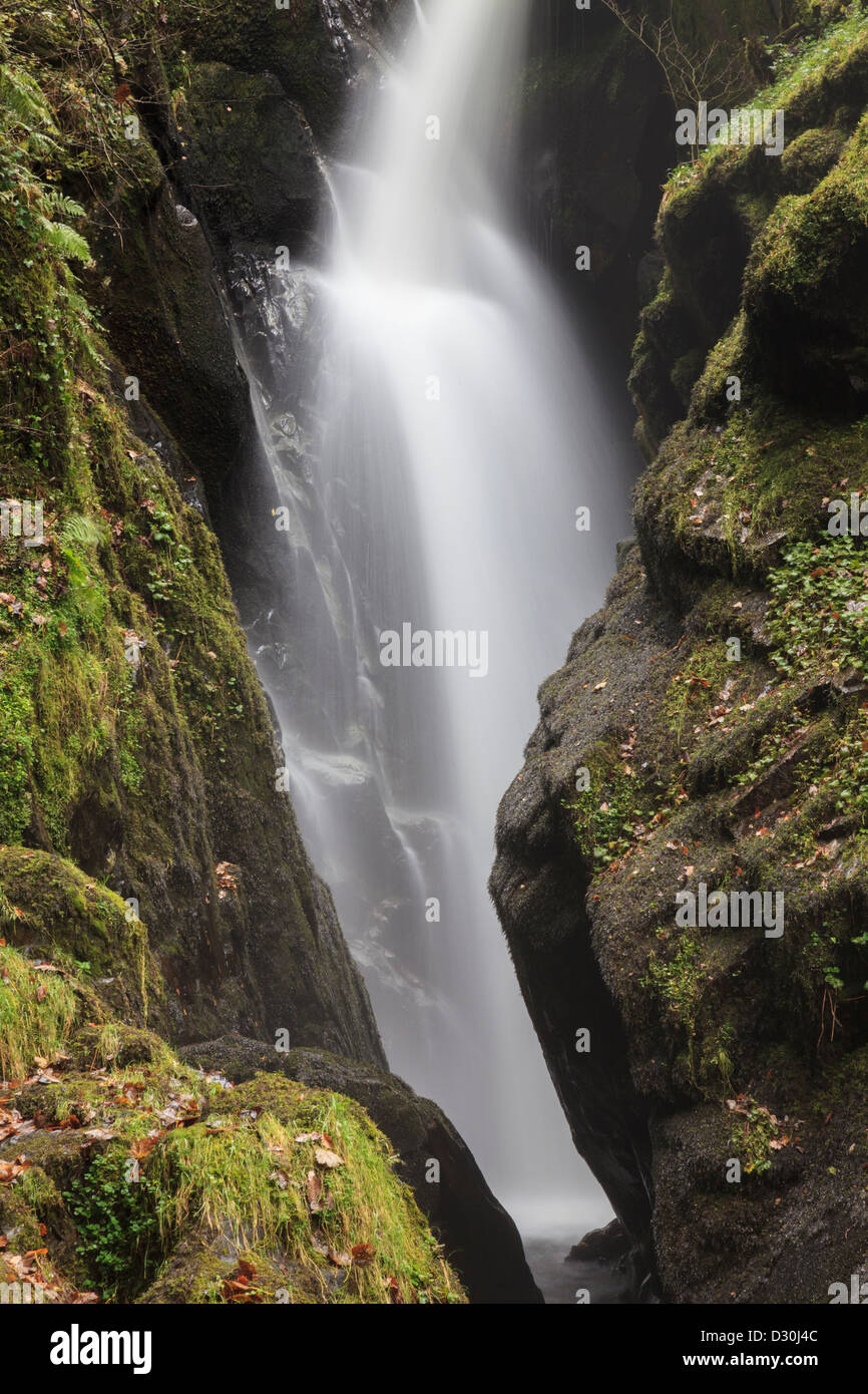 Aira Force waterfall near Ullswater in the Lake District National Park ...