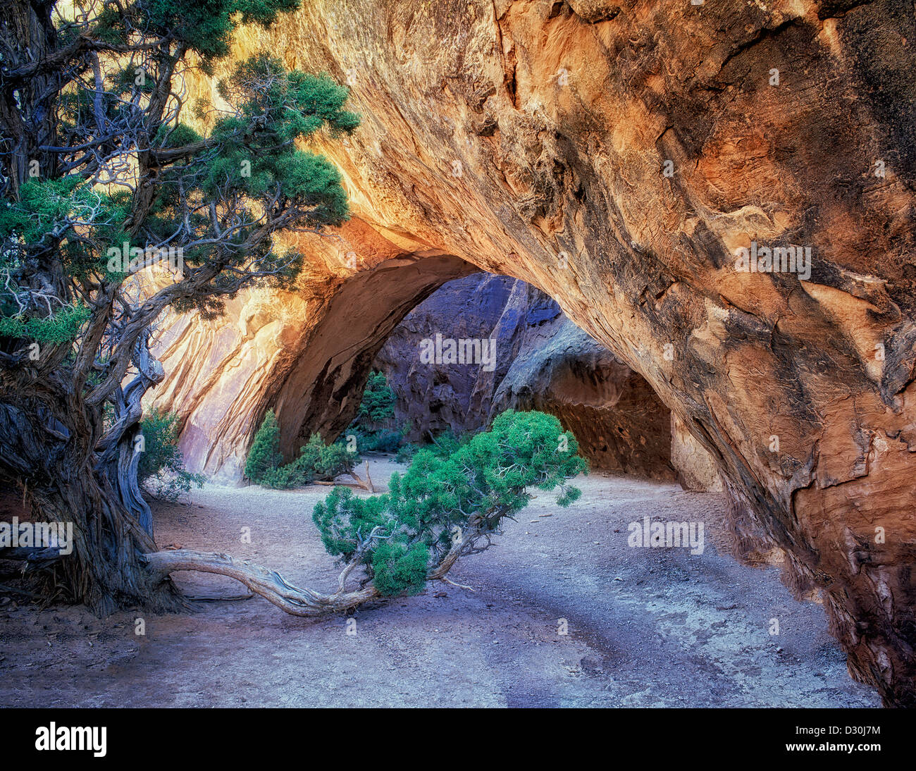 Navajo Arch. Arches National Park. Utah Stock Photo - Alamy