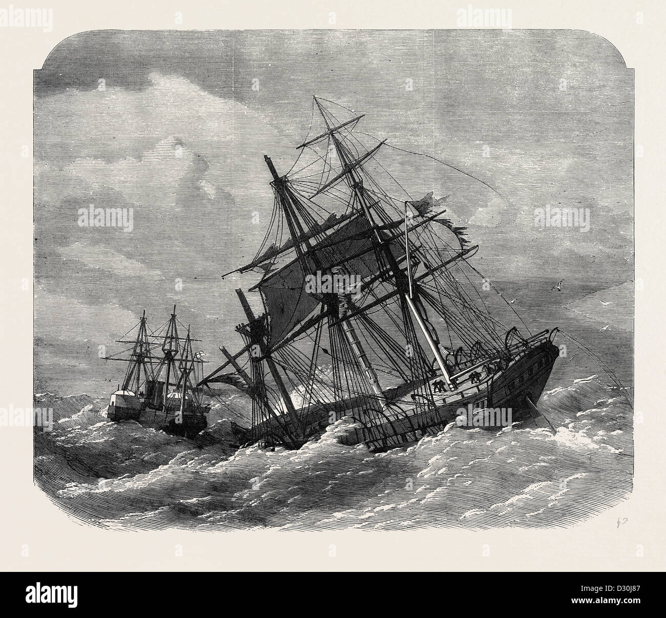 Terrible lizard hi-res stock photography and images - Alamy