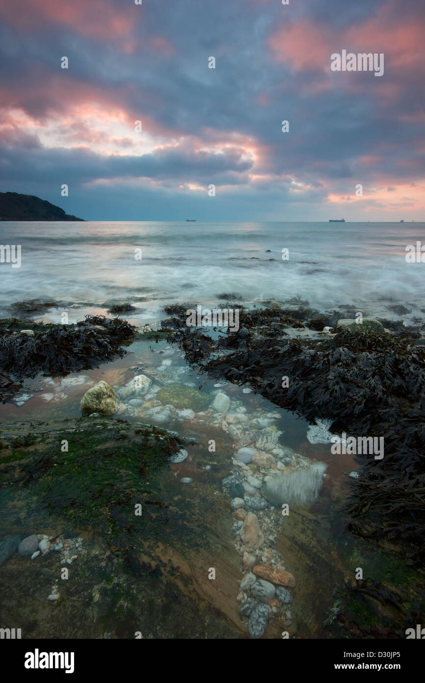 Rockpool hi-res stock photography and images - Alamy