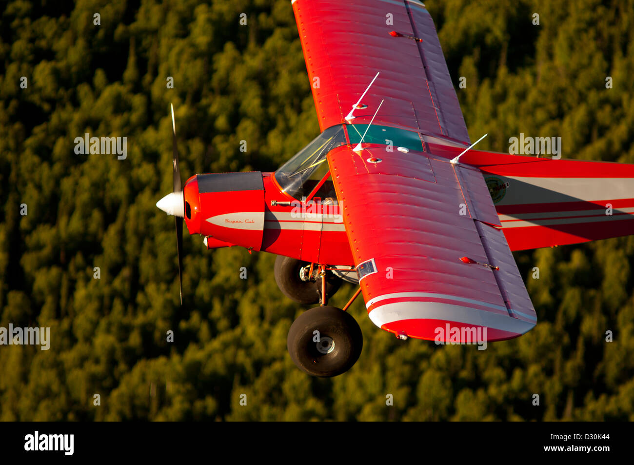 Piper super cub alaska hunting hi-res stock photography and images - Alamy
