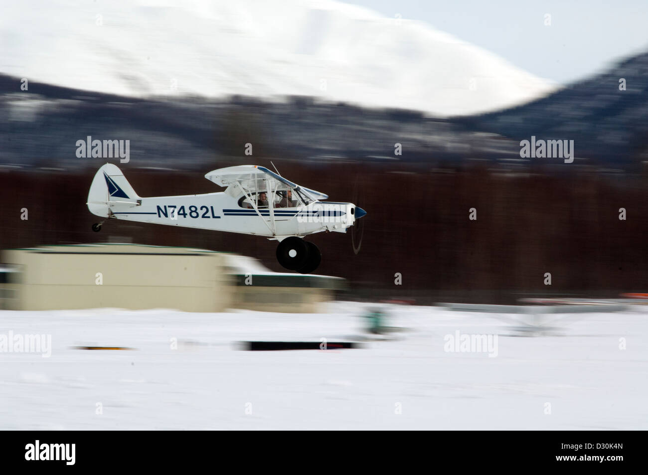 Birchwood In Winter High Resolution Stock Photography and Images - Alamy