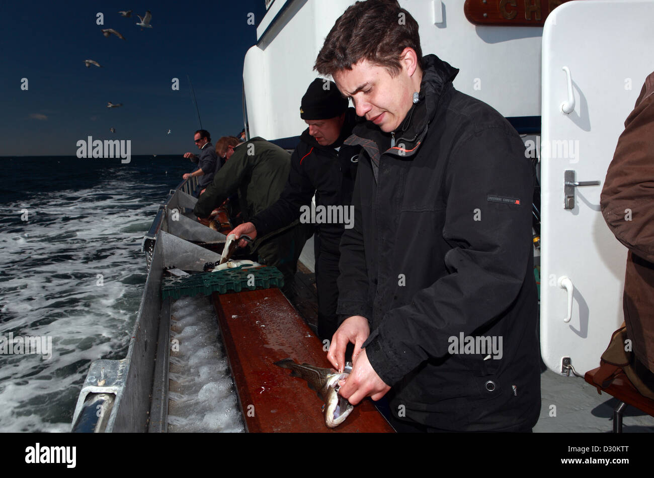 And wismar cut hi-res stock photography and images - Alamy