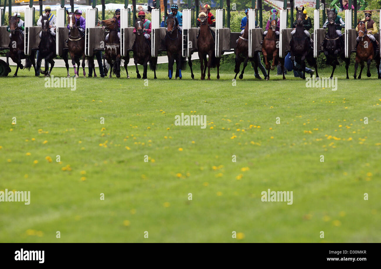 Leipzig, Germany, horses in the chute at the horse races Stock Photo ...