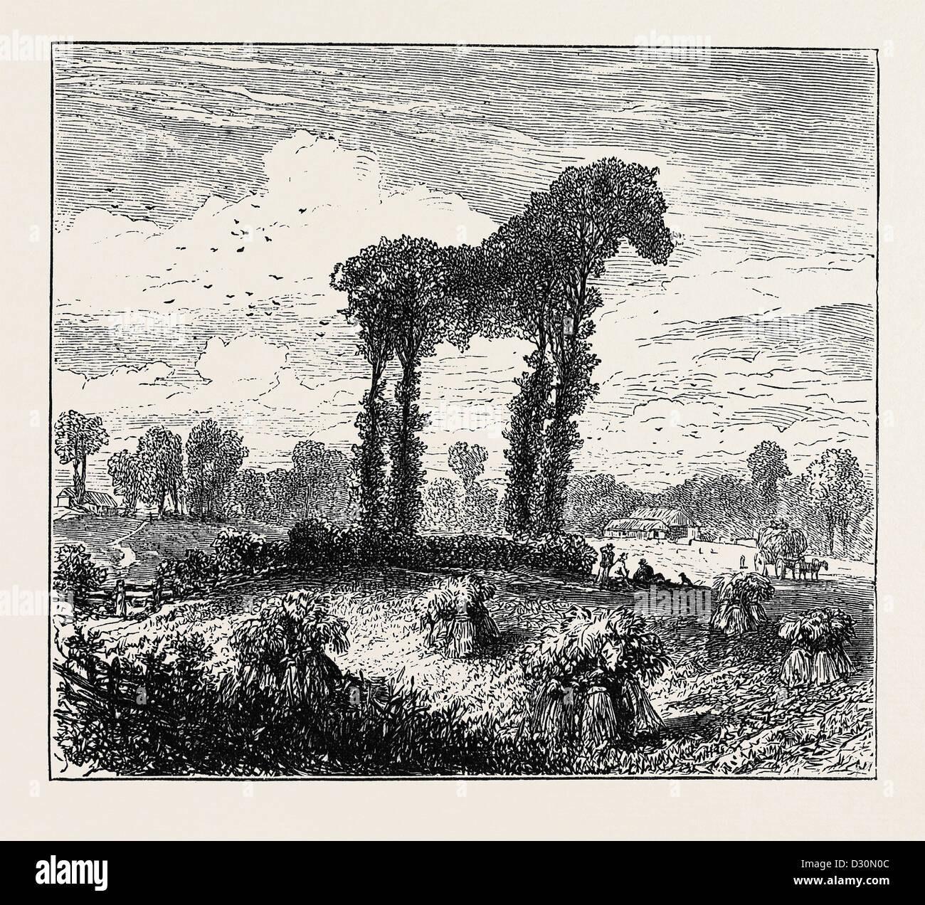 A VEGETABLE HORSE, CURIOUS NATURAL PHENOMENON AT DATCHET; CURIOUS TREES ...