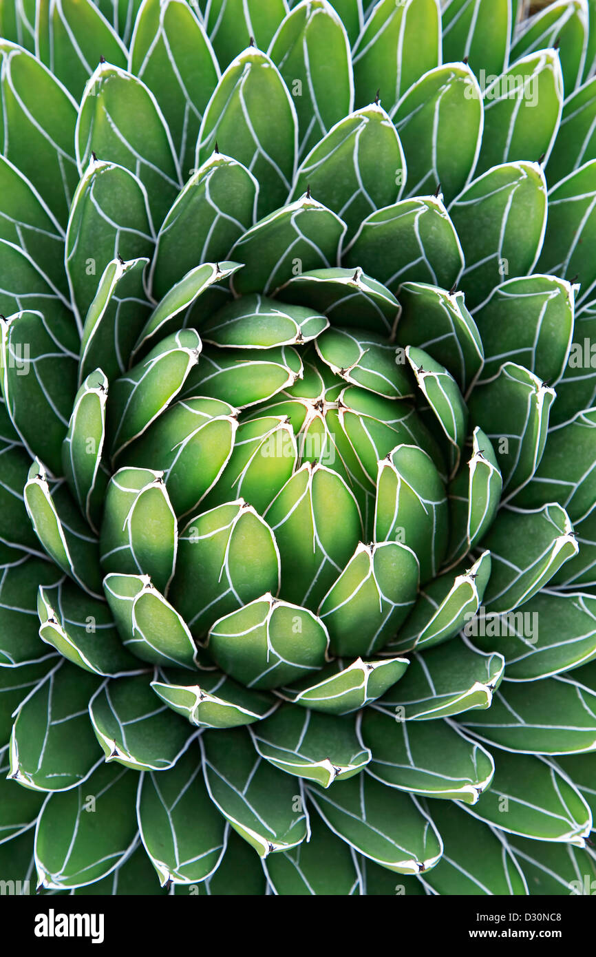 Museums mexico hi-res stock photography and images - Alamy