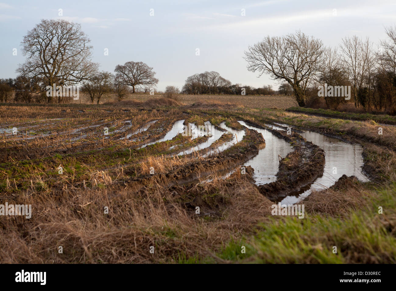 Flooded farm fields in Wiltshire Stock Photo - Alamy