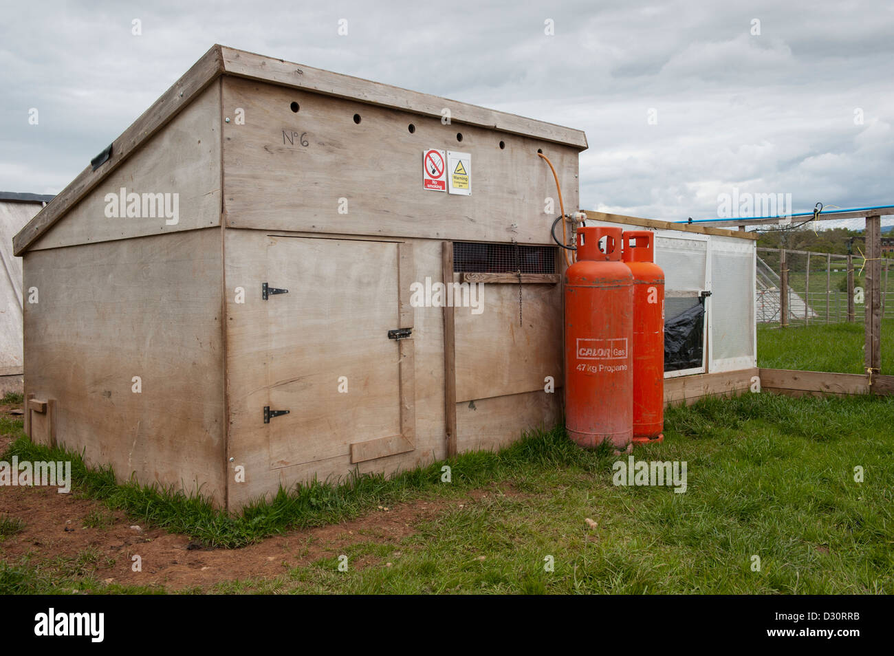 Gamebird rearing shed on a shooting estate Stock Photo - Alamy