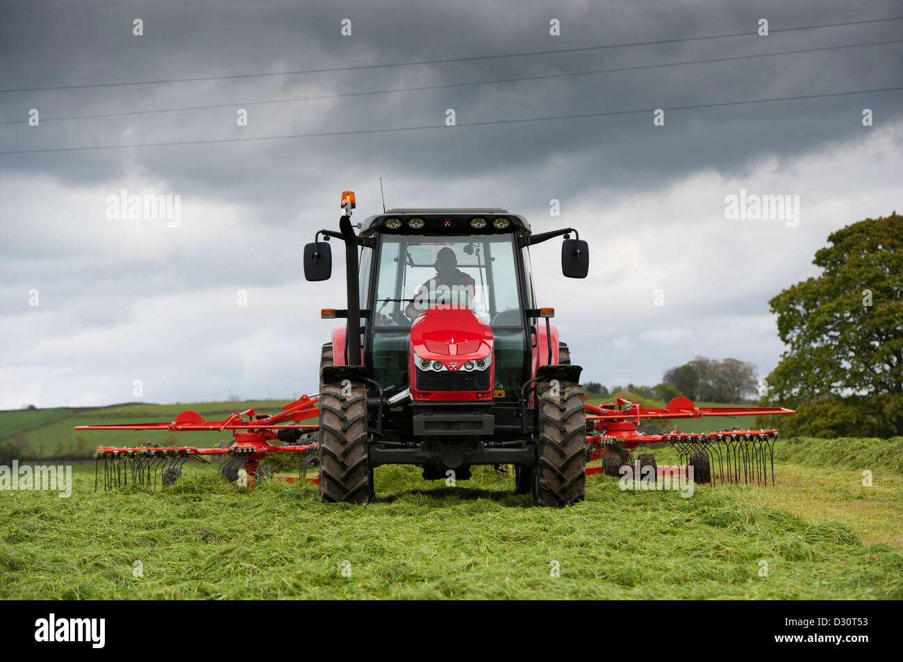 Massey Ferguson tractor with a grass tedder working in newly mown grass ...