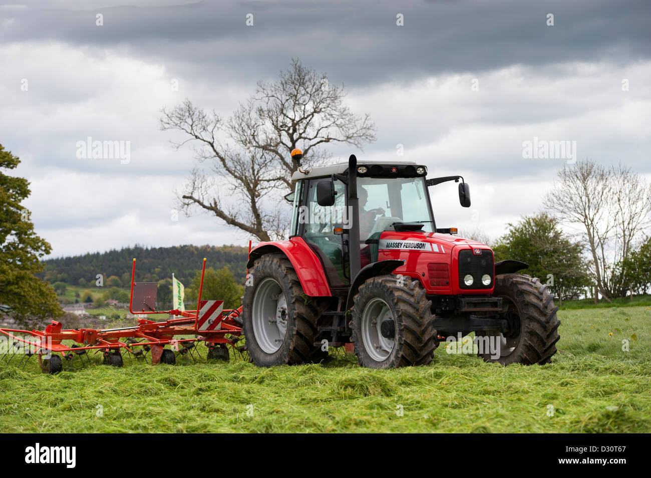 Massey Ferguson tractor with a grass tedder working in newly mown grass ...