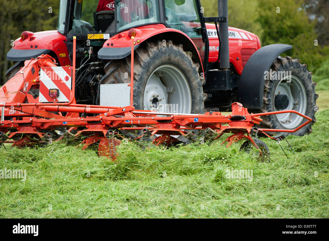 Massey Ferguson tractor with a grass tedder working in newly mown grass ...