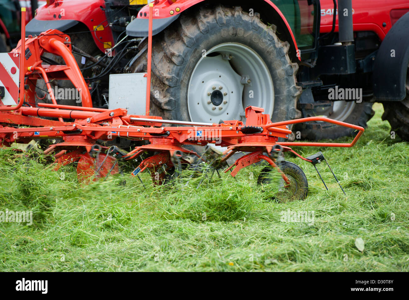 Massey Ferguson tractor with a grass tedder working in newly mown grass ...