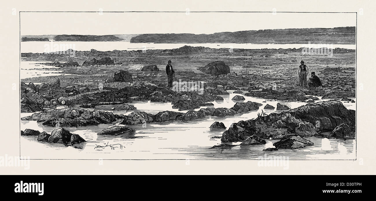 Impending war hi-res stock photography and images - Alamy