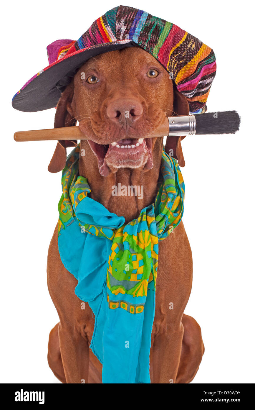 Animal painter hi-res stock photography and images - Alamy