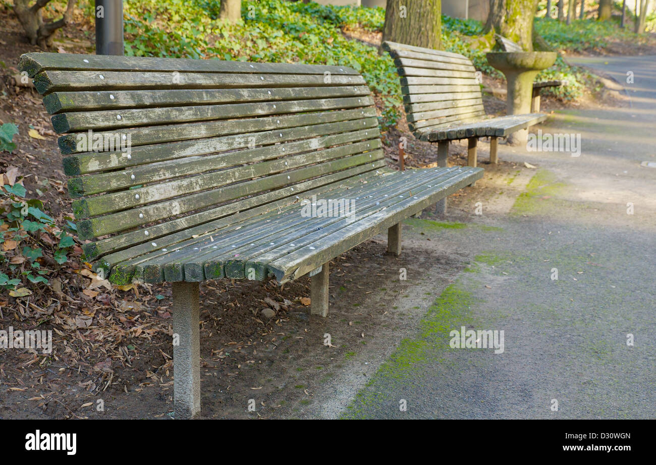 Park Bench perspective on a hill trail in Portland diminishing to soft ...