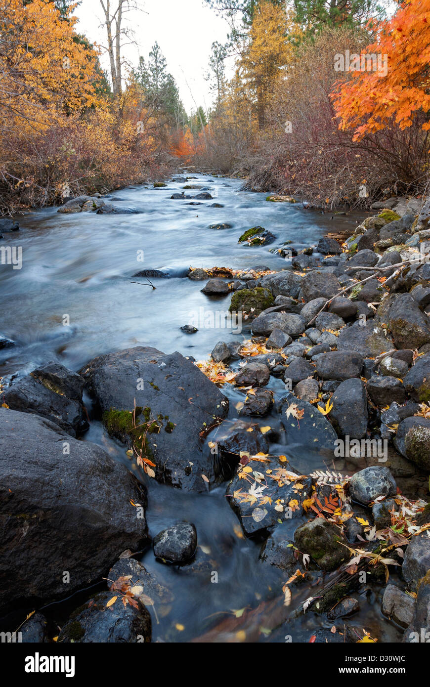 Wallowa river hi-res stock photography and images - Alamy