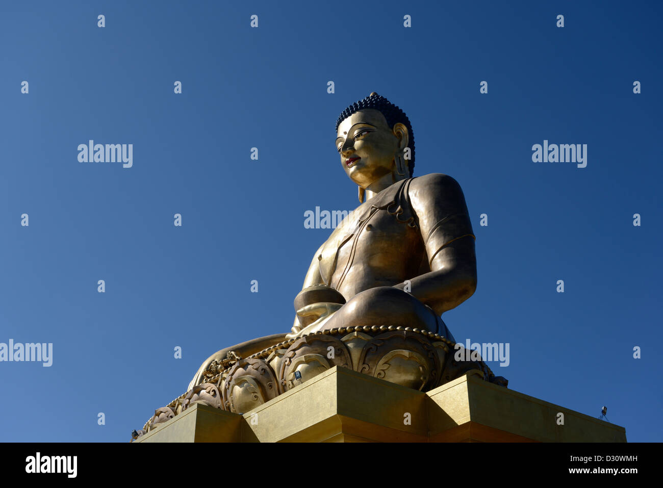 Buddha 8k Images