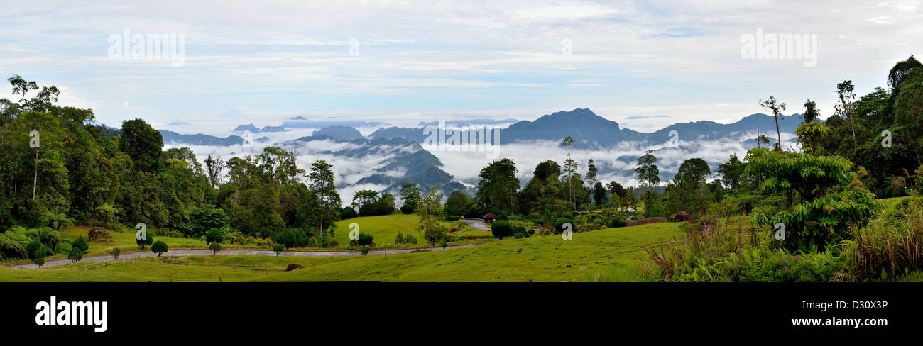 Panoramic view of mountains and rain forest of Kalimantan from the ...