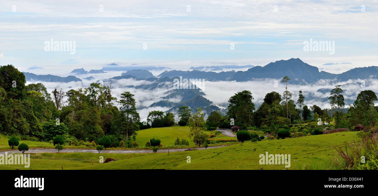 Panoramic view of mountains and rain forest of Kalimantan from the ...