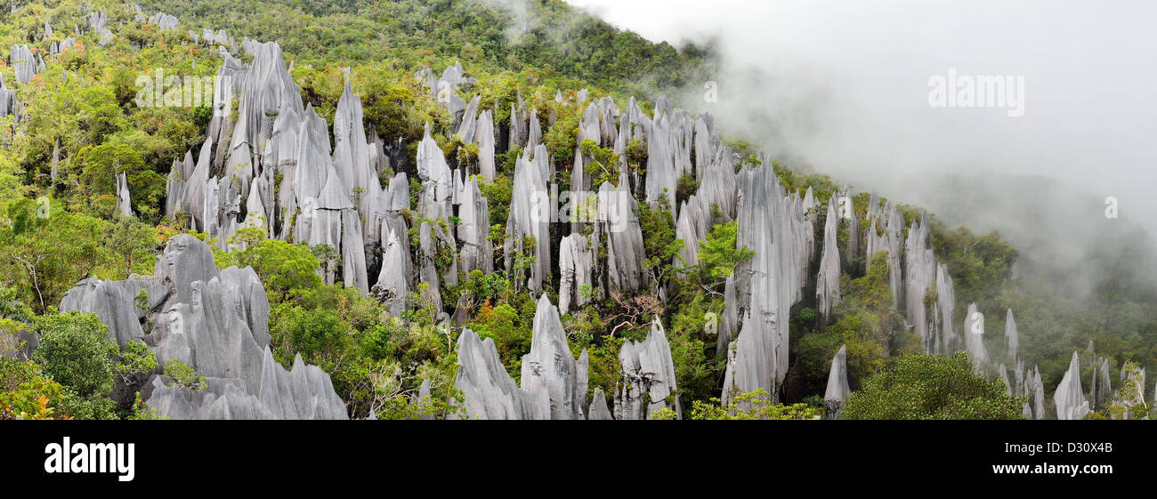 Panoramic view of limestone Pinnacles of Mount Api, Gunung Mulu ...