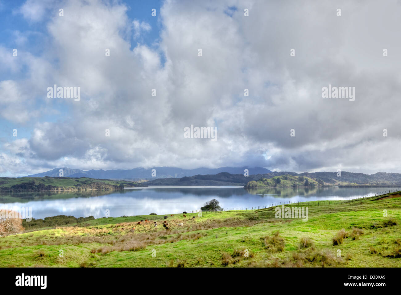 View of Hokianga Harbour, near Rawene, Northland, North Island, New ...