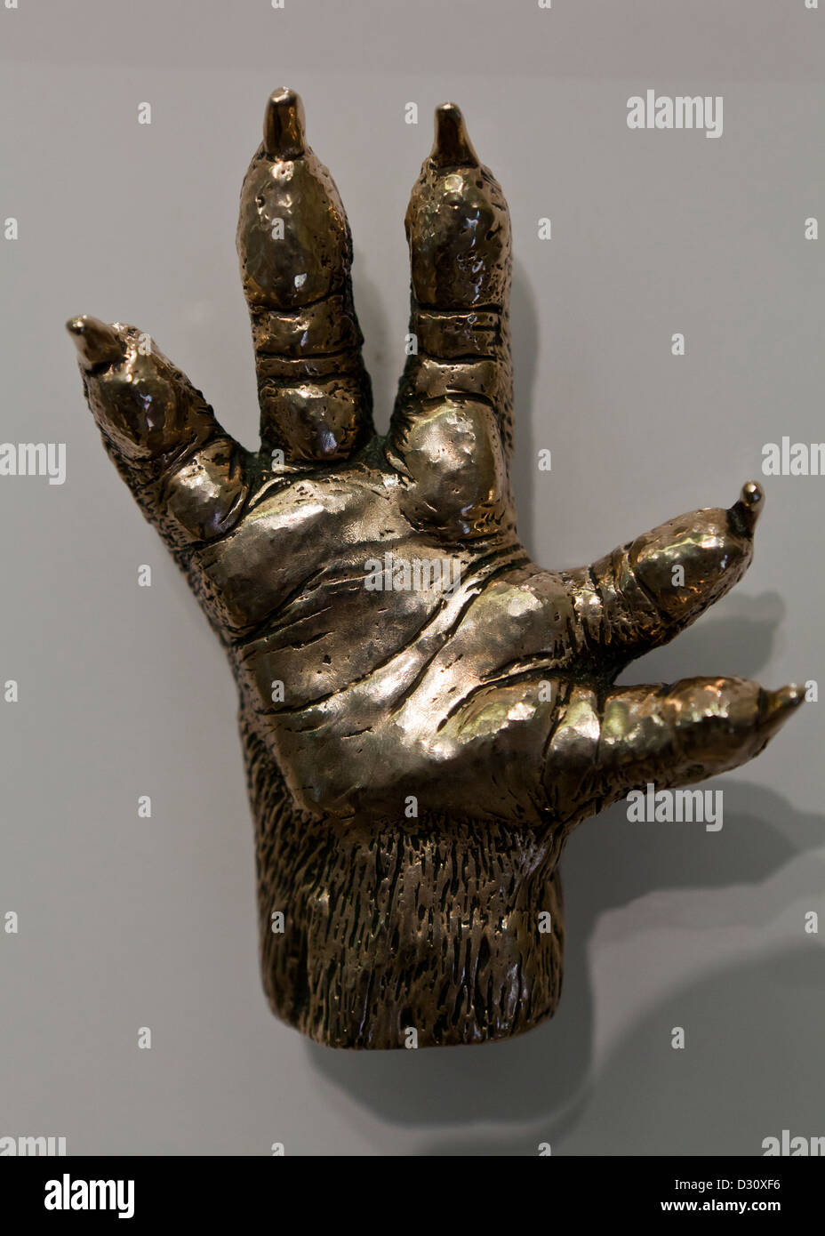 Koala palm cast Stock Photo - Alamy