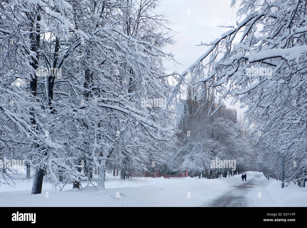 Winter park walk hi-res stock photography and images - Alamy