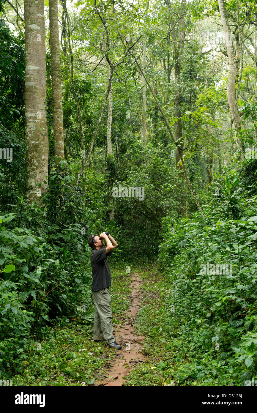 Birdwatcher in Kakamega Forest National Reserve, Kenya Stock Photo - Alamy