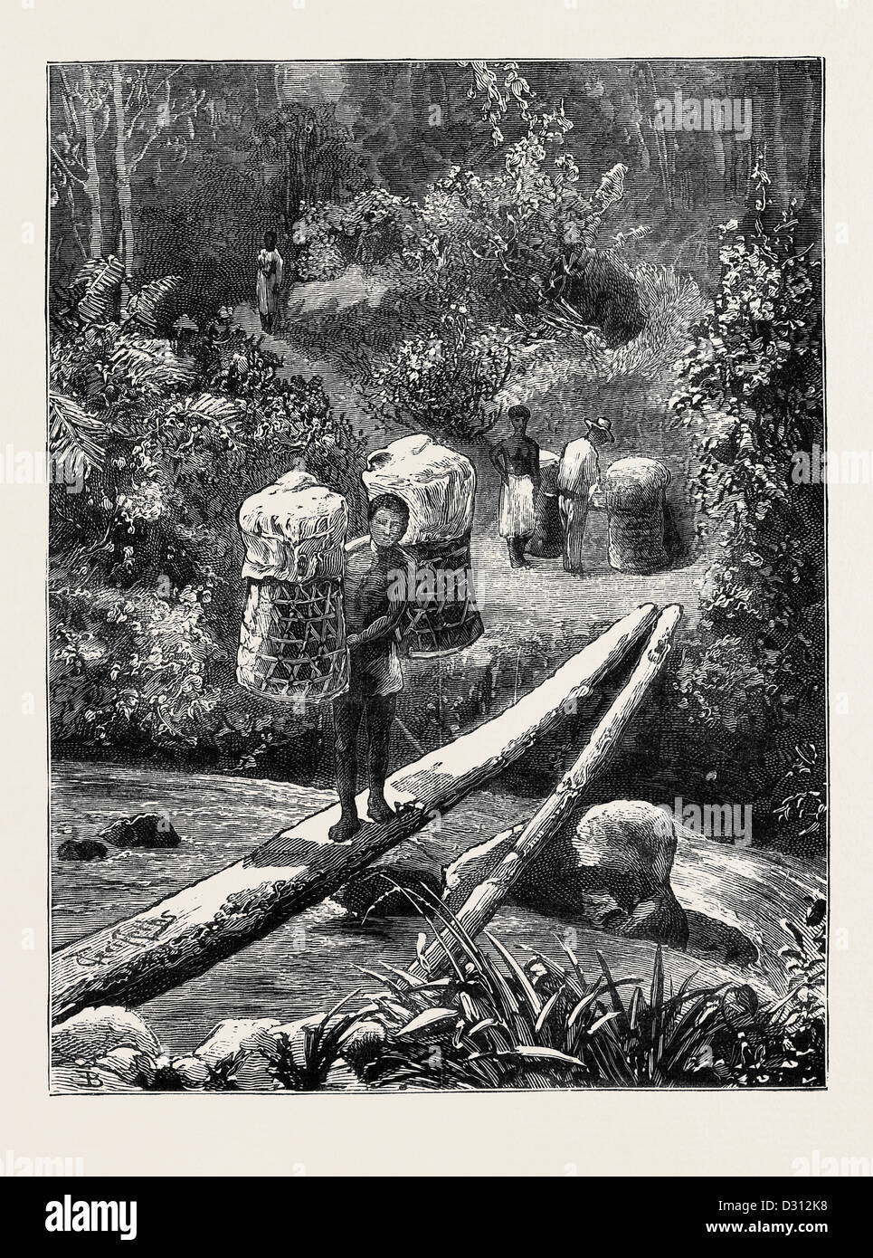 A NATIVE BRIDGE, MADAGASCAR Stock Photo - Alamy