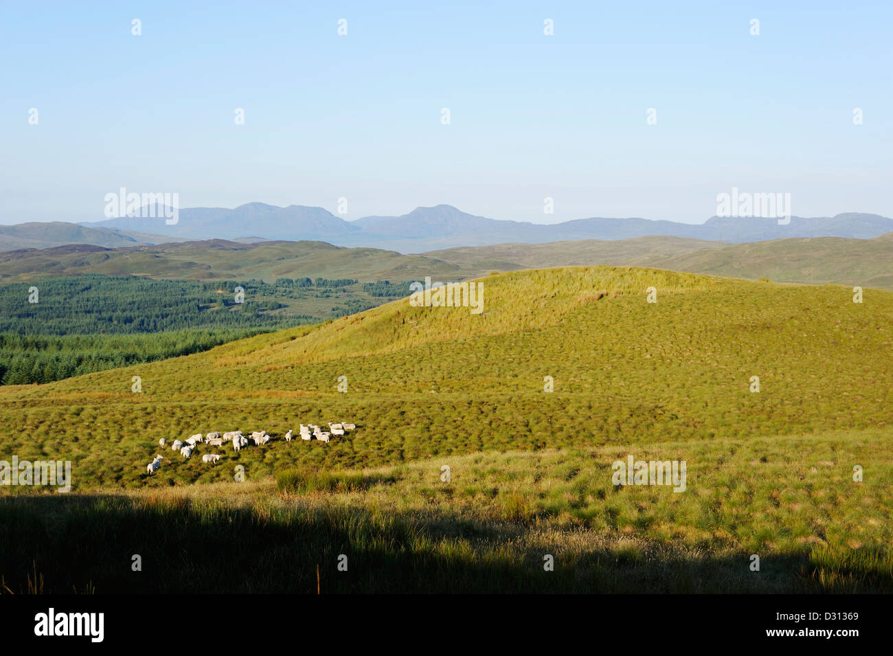 Peatland wales hi-res stock photography and images - Alamy