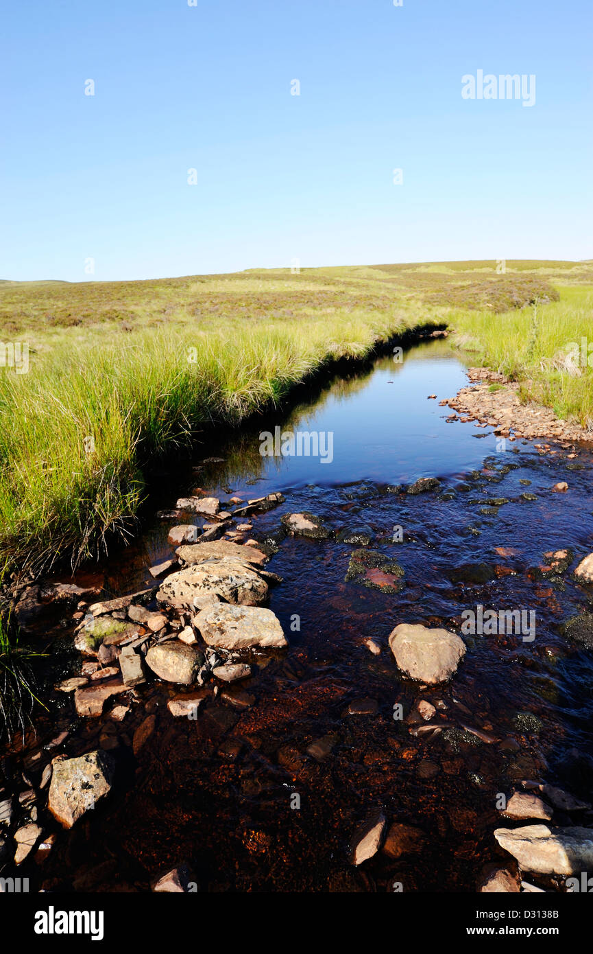 Afon Serw, the river which runs through Migneint, an upland moorland ...