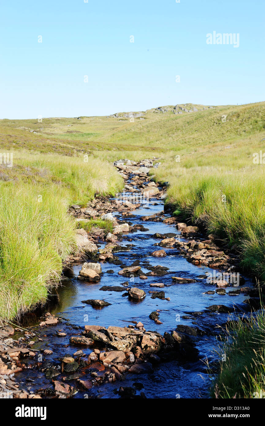 Afon Serw, the river which runs through Migneint, an upland moorland ...