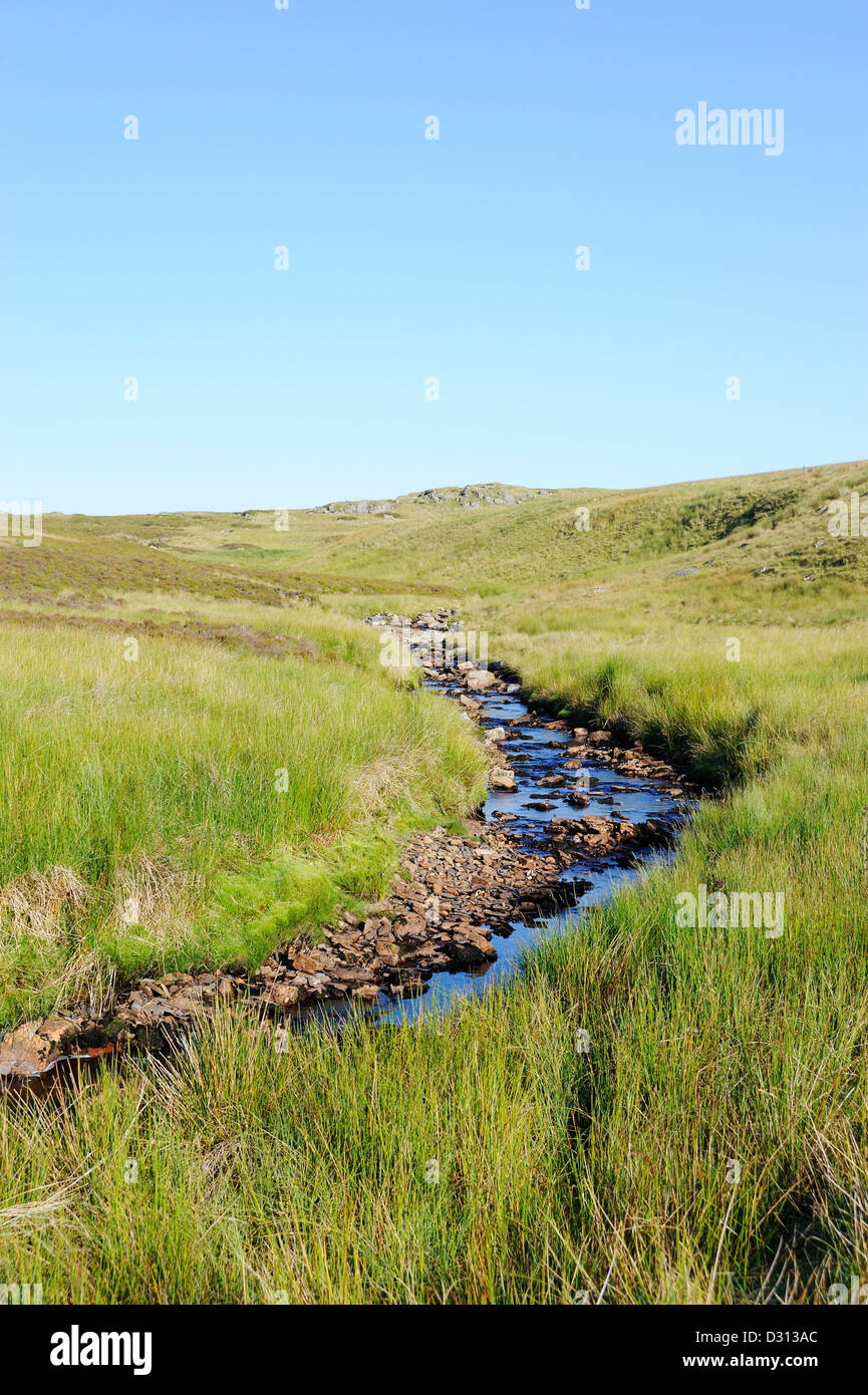 Afon Serw, the river which runs through Migneint, an upland moorland ...